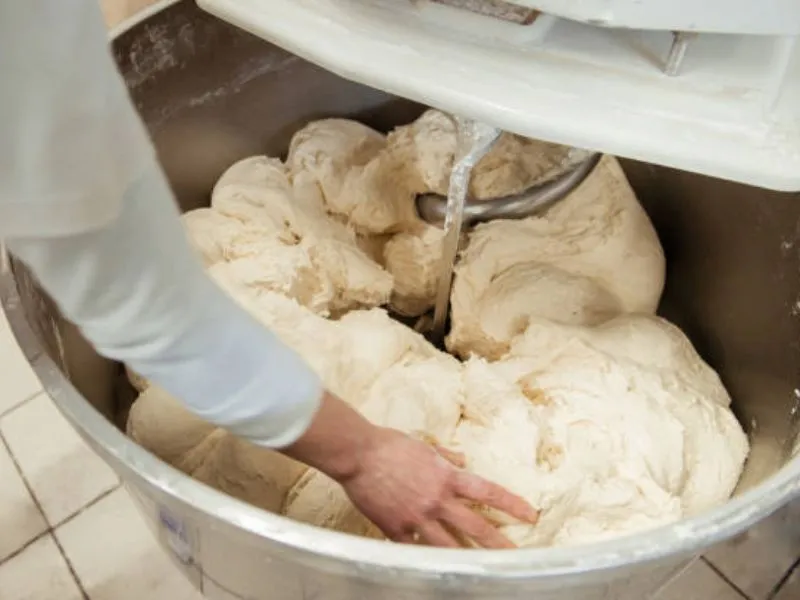 Discover the new technology sponge cake production process